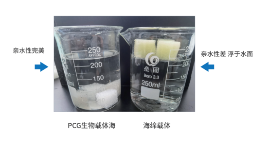 Bioreactor Polymer Composite Gel Biocarriers In Wastewater Treatments
