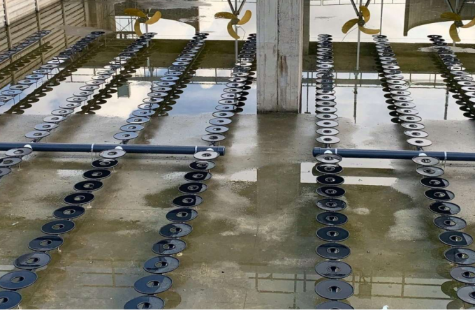 Efficient & Durable SSI ECD500 Disc Diffuser System for Municipal ...